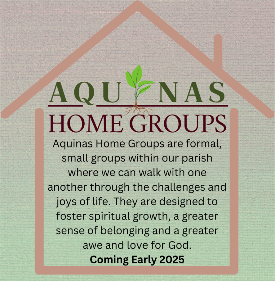Aquinas Home Groups | St. Thomas Aquinas Catholic Parish | College Station, Texas
